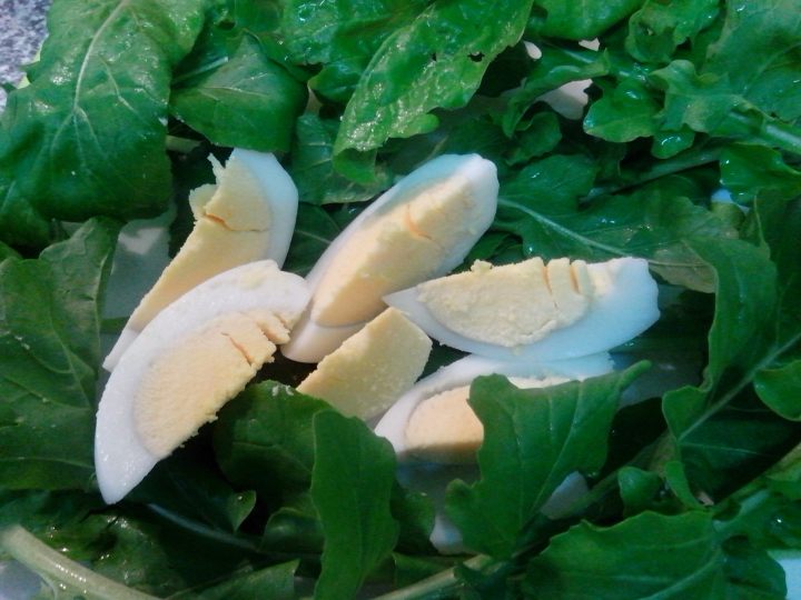 Growing Rocket – The Grantham Gardener