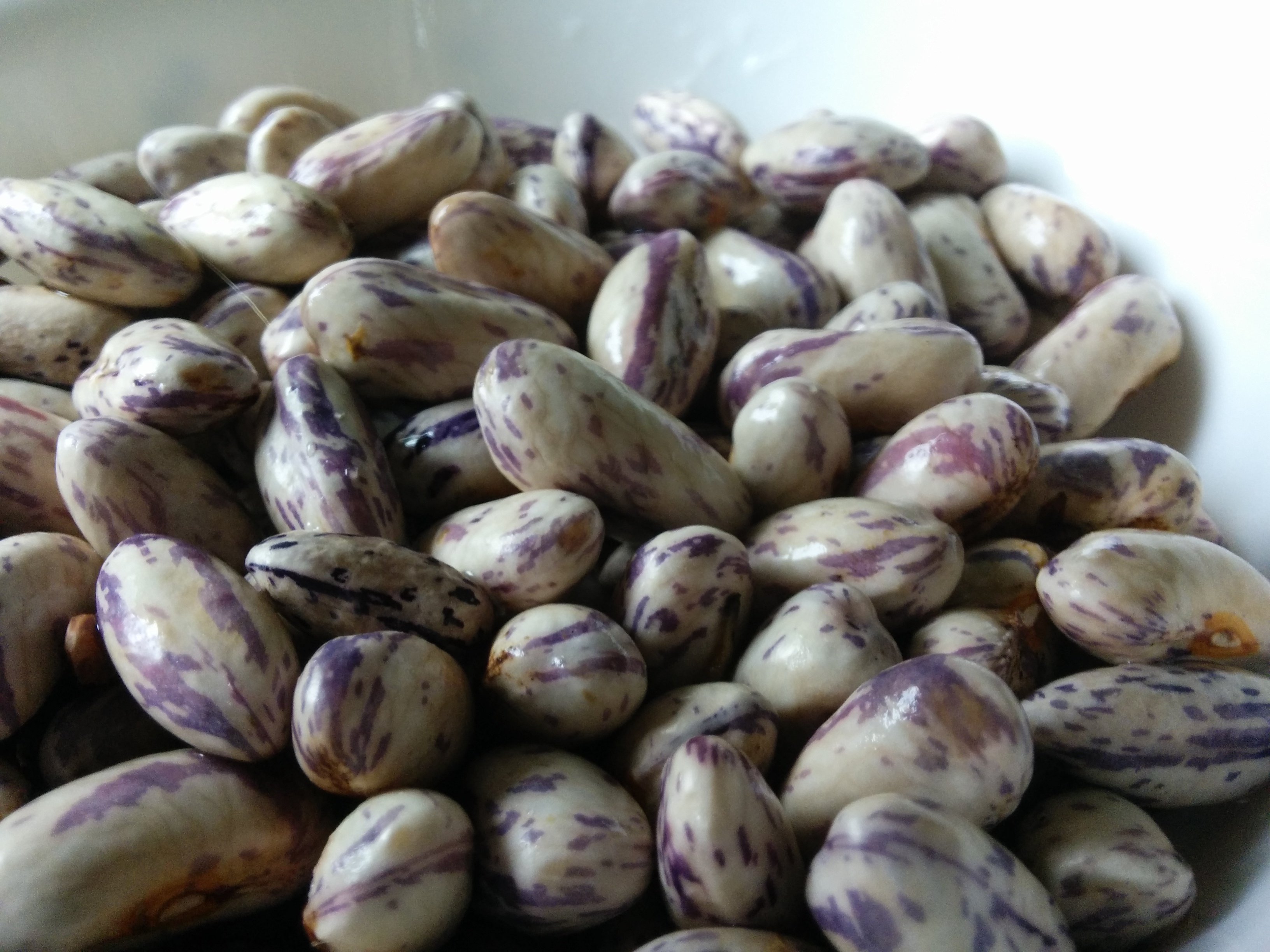 Minestrone with Borlotti Beans and Kale – The Grantham Gardener