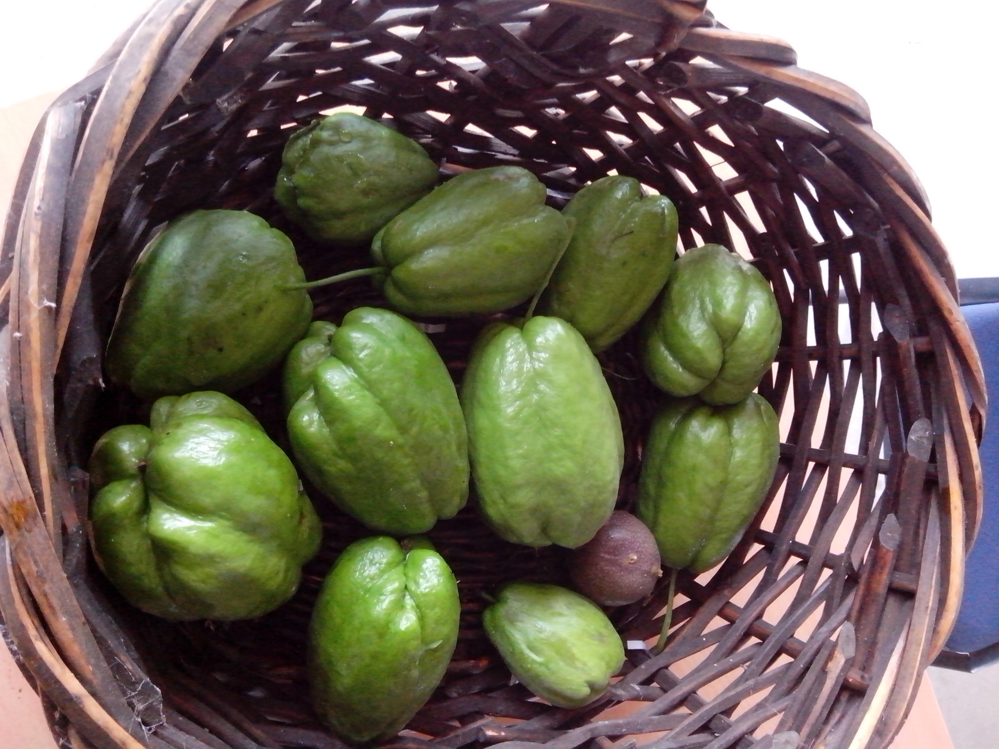 Choko and Apple Pie with Streusel Topping – The Grantham Gardener