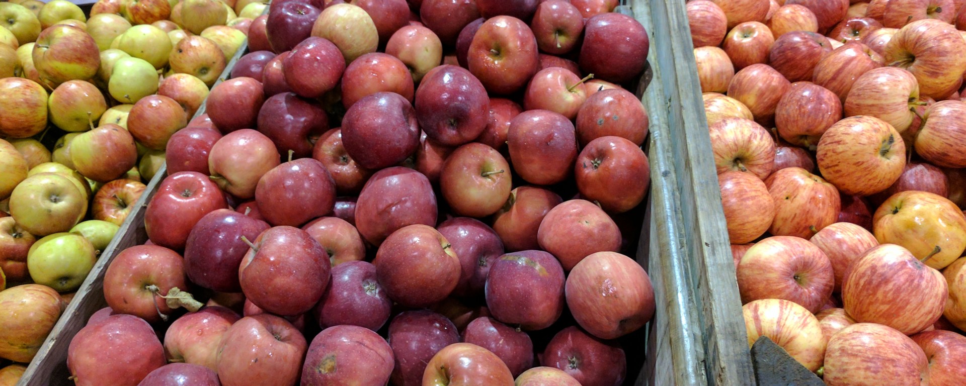 Delicious Australian Grown Apples from Orange – The Grantham Gardener