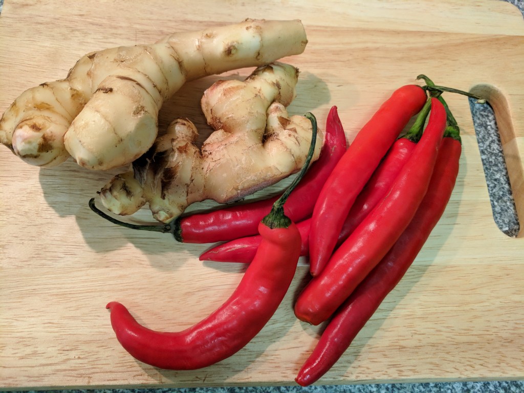 Ann’s Ginger Wine or OT – The Grantham Gardener