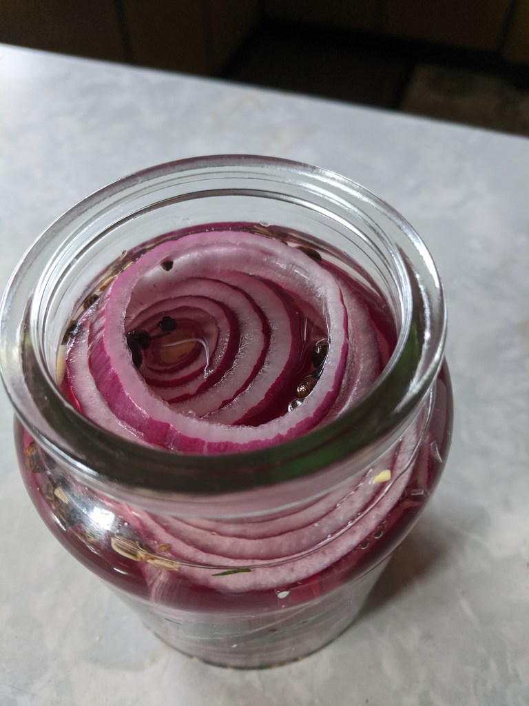 Pickled Red Onion Rings – The Grantham Gardener