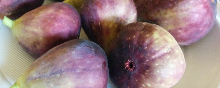 Caramelised Figs with Brandy – The Grantham Gardener