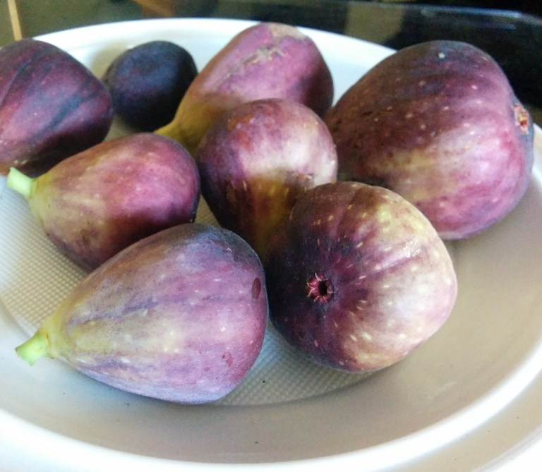 Caramelised Figs with Brandy – The Grantham Gardener